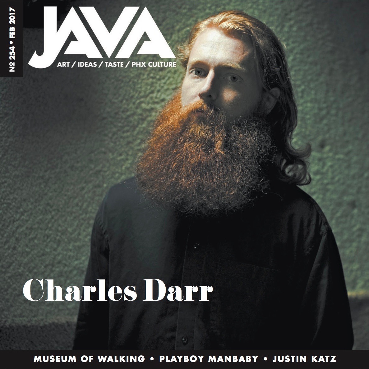 Charles Darr Seeing Artists in Their Environments - JAVA